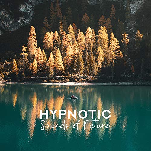 Play Hypnotic Sounds of Nature: Meditation and Relaxation, Positive ...