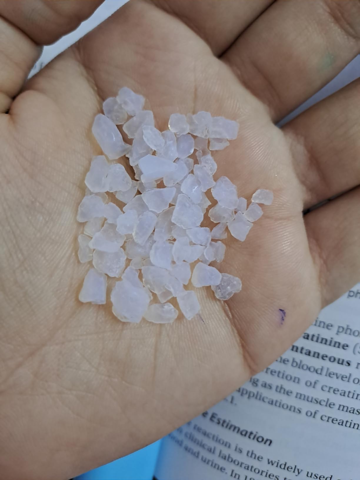 Buy THH Organic Tabashir - Vanslochan - Banslochan (400g)| 100% Pure ...