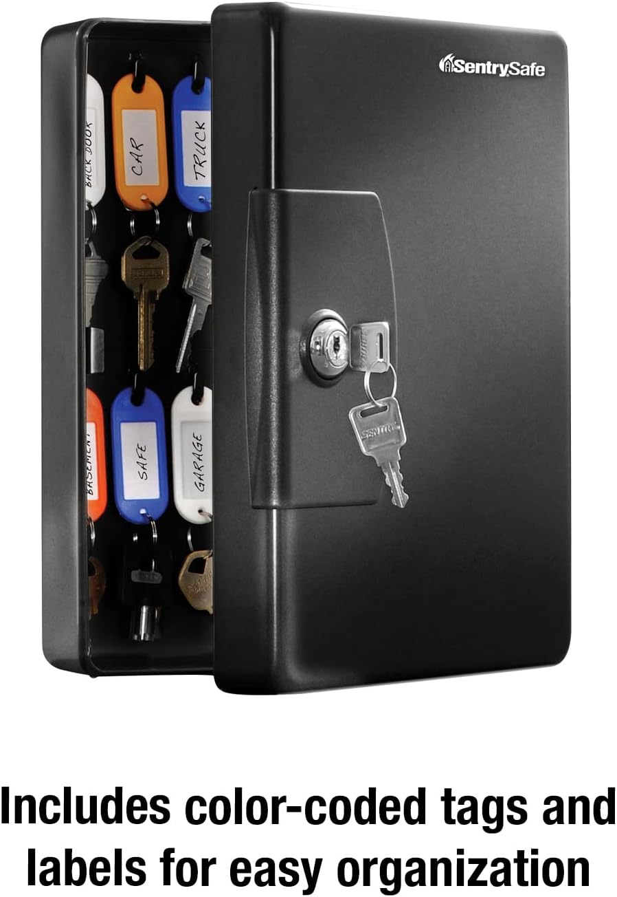 SentrySafe KB25 Key Box with 25 Key Hangers – Black - BigaMart