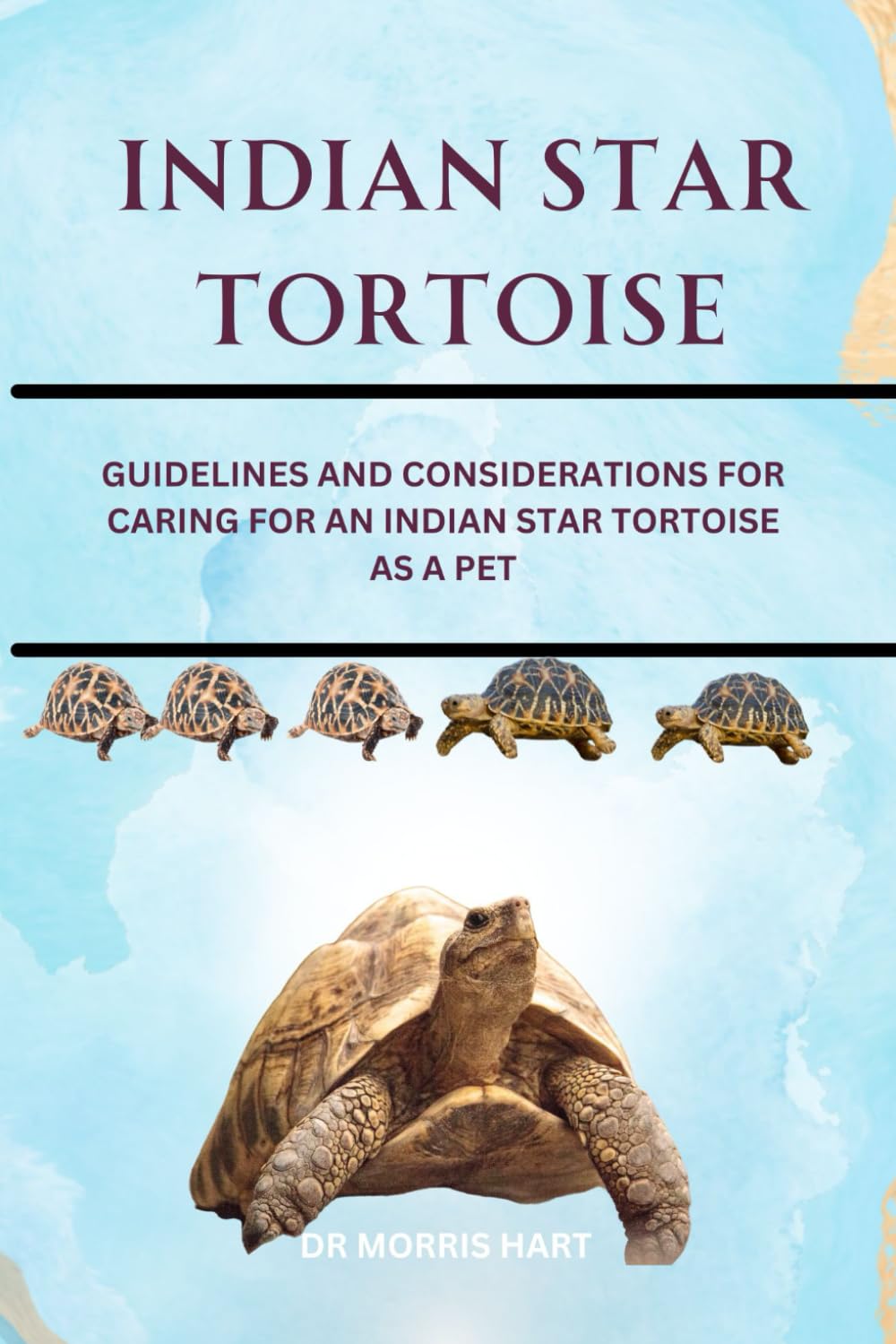 Indian Star Tortoise Guidelines And Considerations For Caring For An In ...