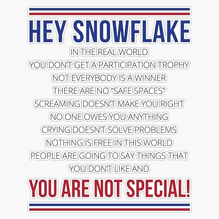 Amazon.com: HOF Trading Hey Snowflake You are Not Special Funny Vinyl ...