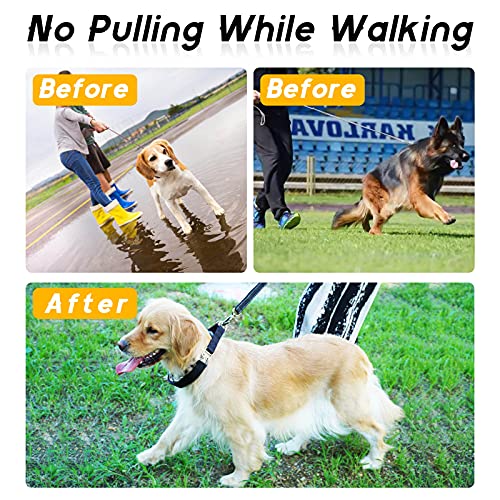 The 30 Best Snap Dog Collars of 2025 [Verified] - Cherry Picks