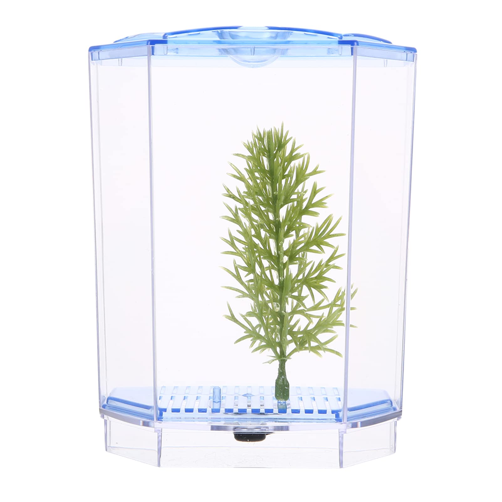 Balacoo Fish Breeding Box Aquarium Fish Isolation Box Aquarium ...