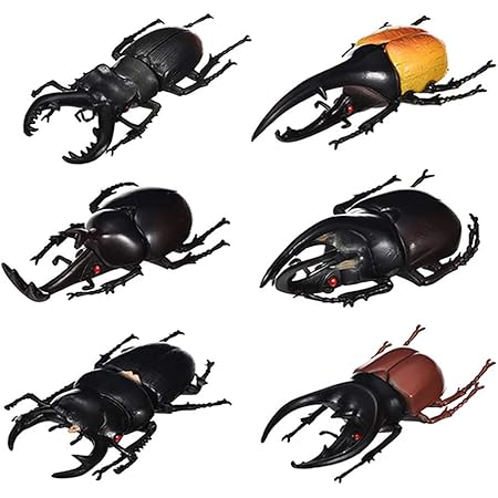 Amazon.com: 12 Pcs Plastic Beetle Figurine Realistic Beetle Model Fake ...