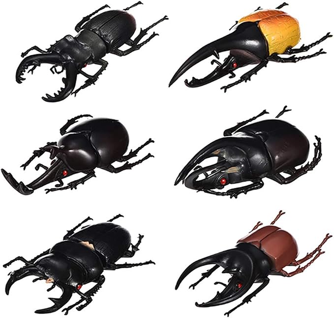 Amazon.com: DOYIFUN Pack of 6 Lifelike Beetle Model Toys, Fake ...