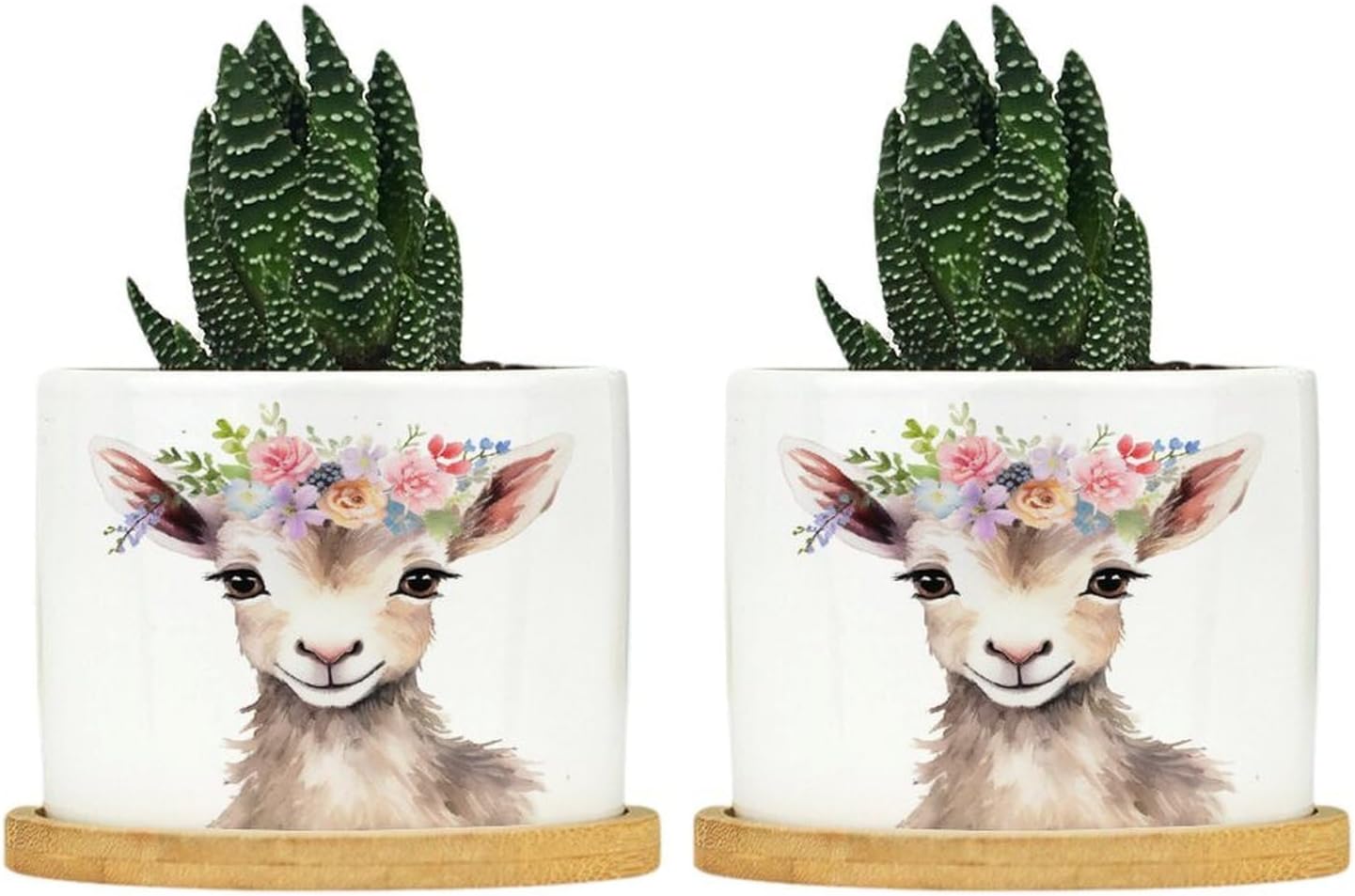 Amazon.com: BRUYU5SE Baby Goat Flower Crown Ceramic Planter Farm ...