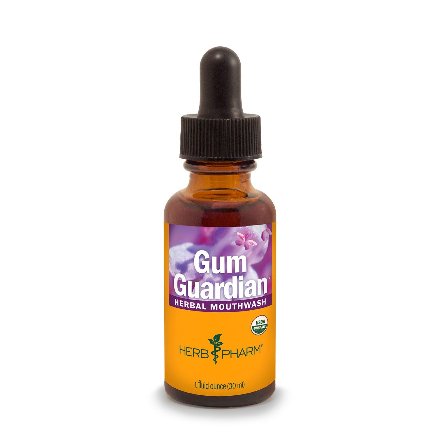 Amazon.com: Herb Pharm Gum Guardian Herbal Mouthwash for Healthy Mouth ...