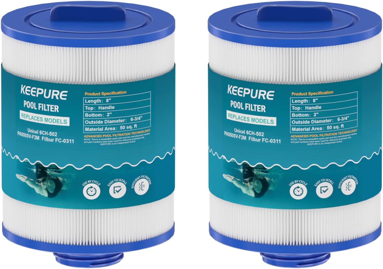 Amazon.com : Malaka 2-Pack Spa Filter Compatible with PWW50P3 6CH-940 ...