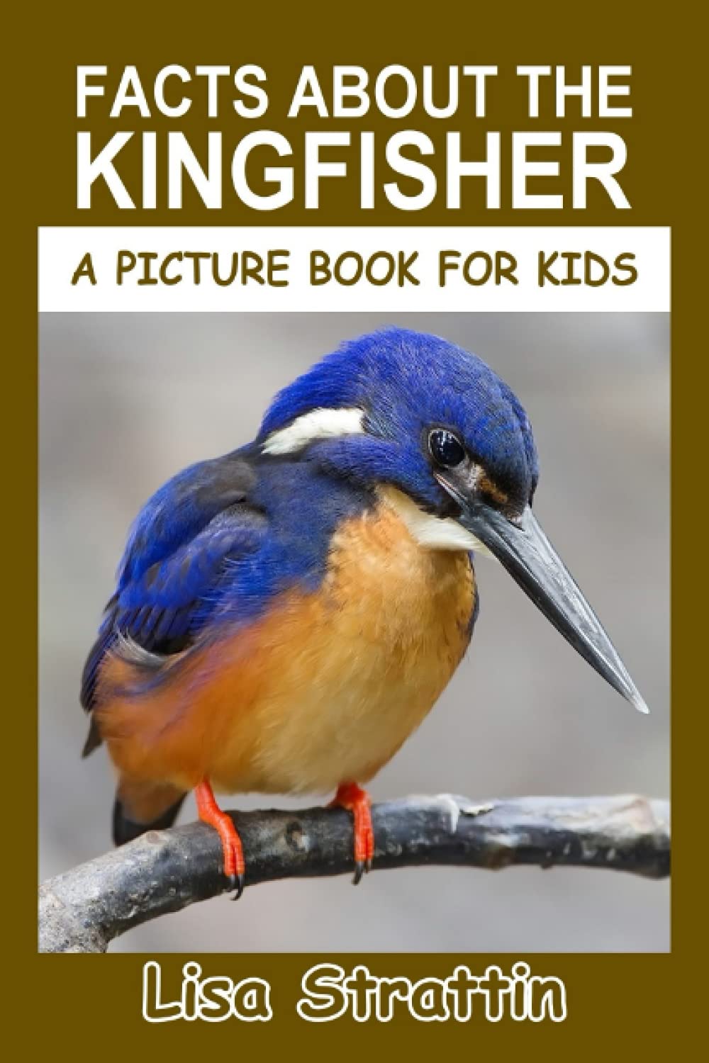 Facts About the Kingfisher (A Picture Book For Kids): Strattin, Lisa ...
