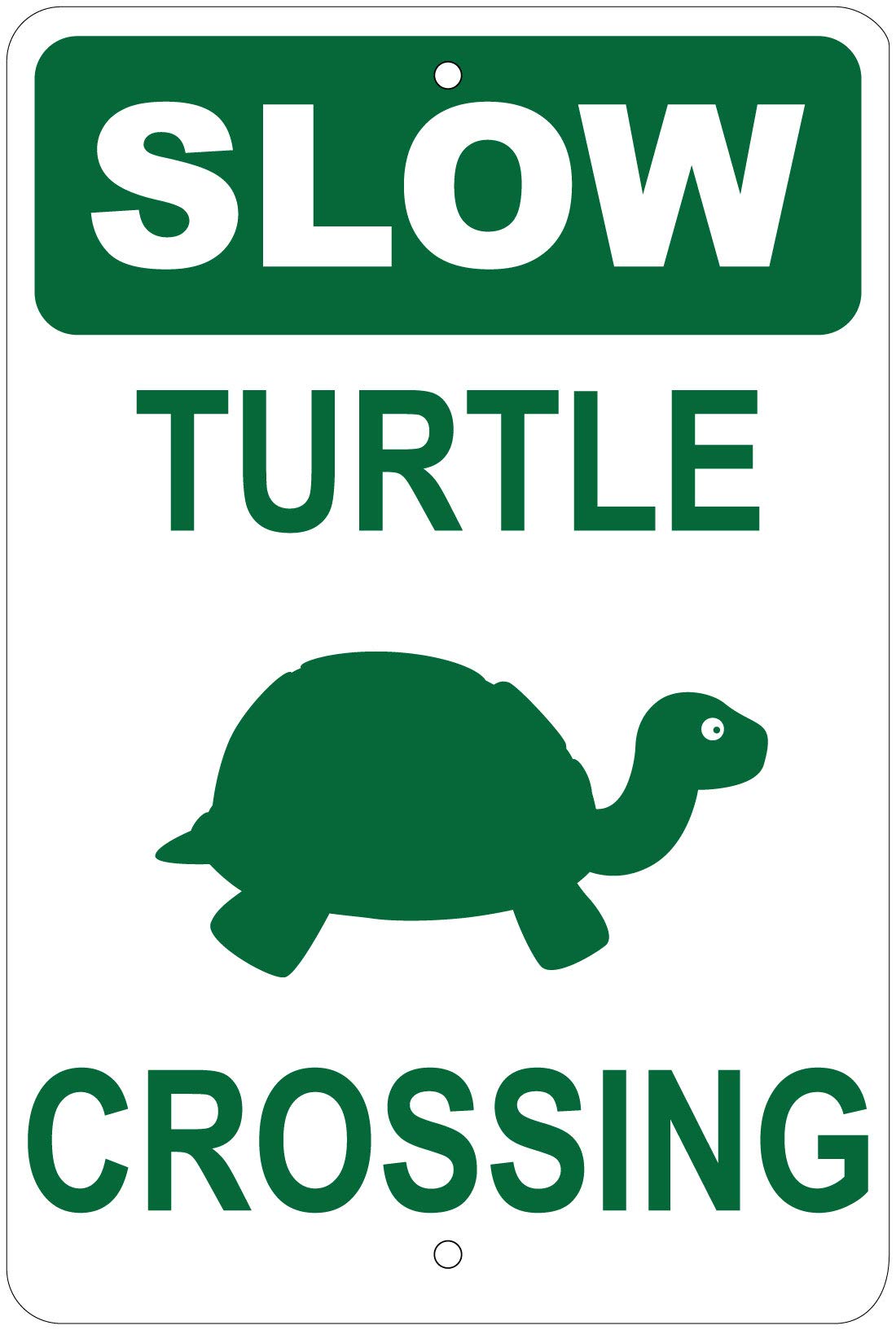 Slow As A Turtle