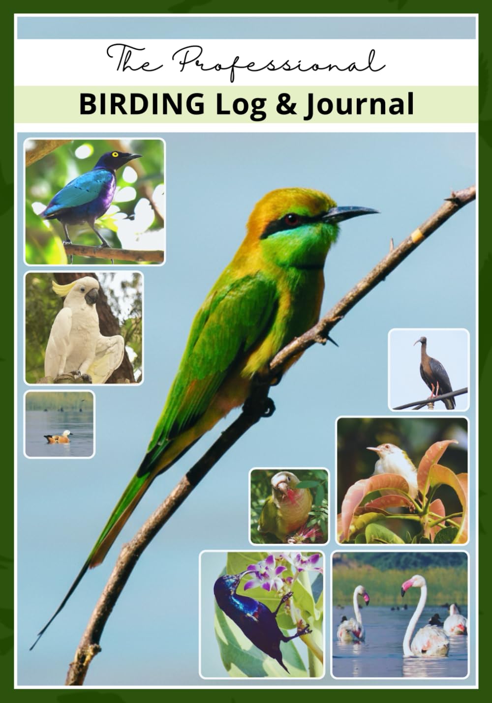 Amazon.com: Bird Watching Log Book: Professional Birding Journal for ...