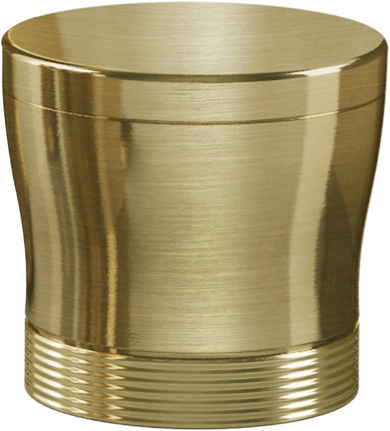 Amazon.com: nu steel Special Gold Cotton Swab Container : Home & Kitchen