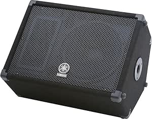Amazon.com: Yamaha BR12M Passive Speaker : Musical Instruments