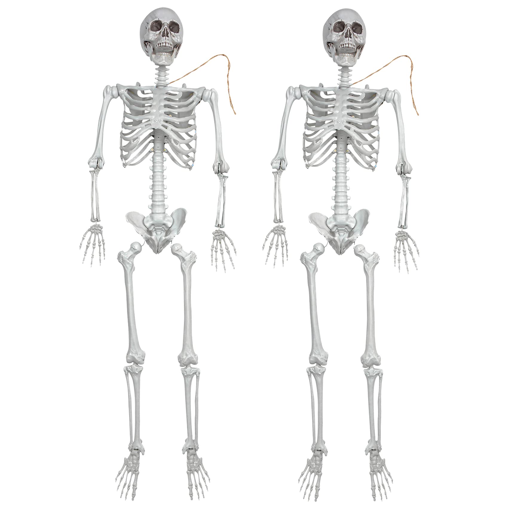 Snapklik.com : 2Packs 5.4ft Halloween Human Skeletons, Realistic Life ...
