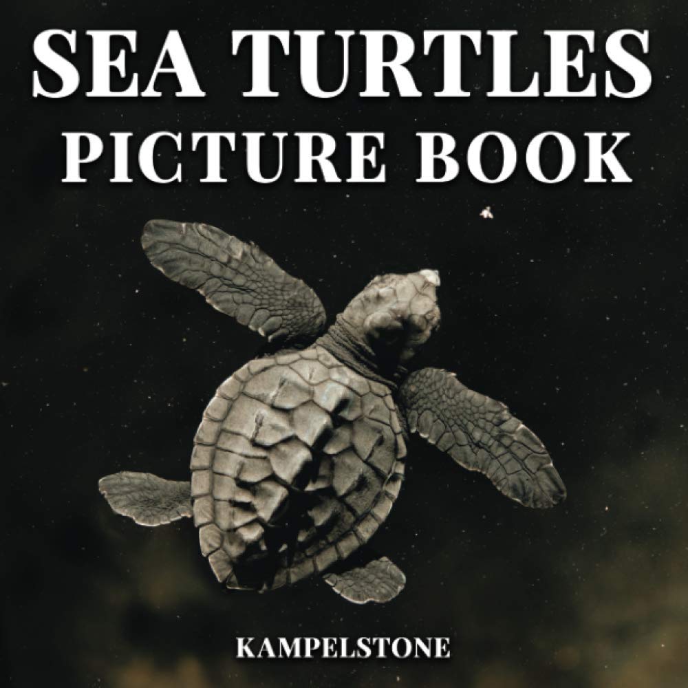 Sea Turtles Picture Book: 100 Images of these Cute Sea Creatures ...