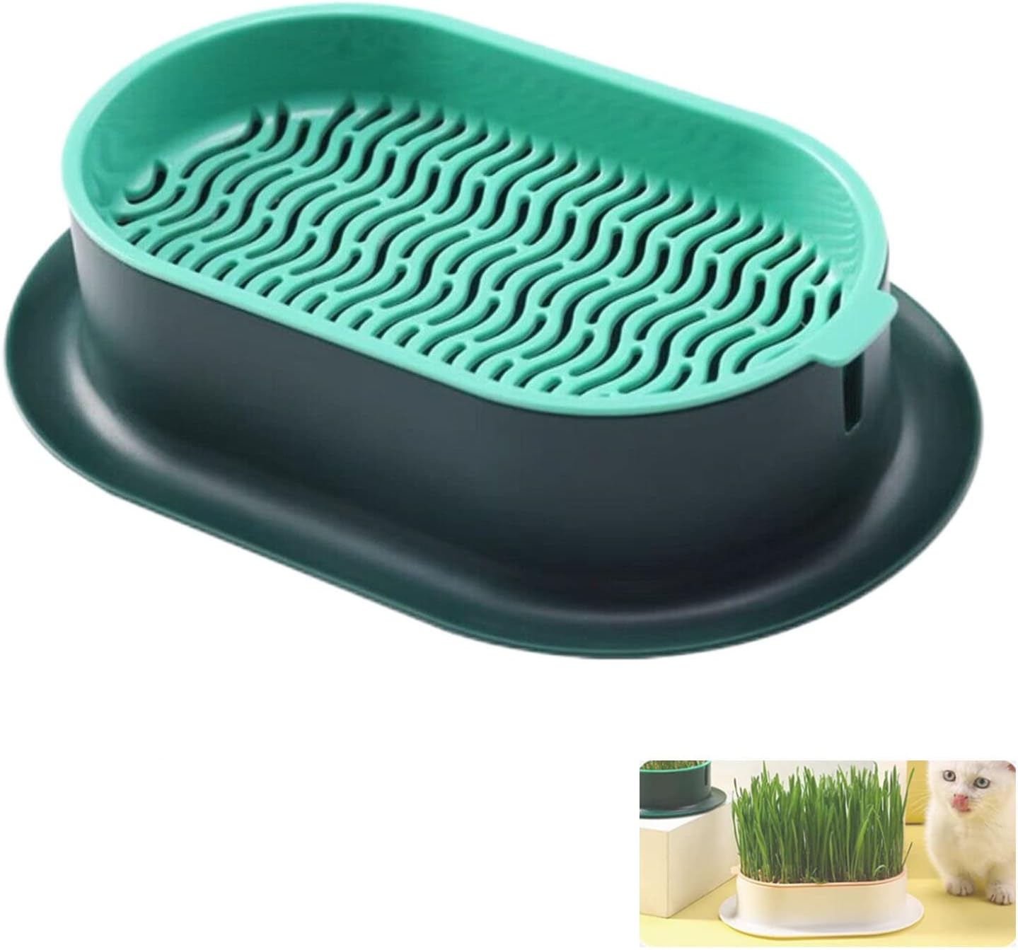 Cat Grass Planter, Easy to Plant Cat Grass Growing Kit Suitable for ...