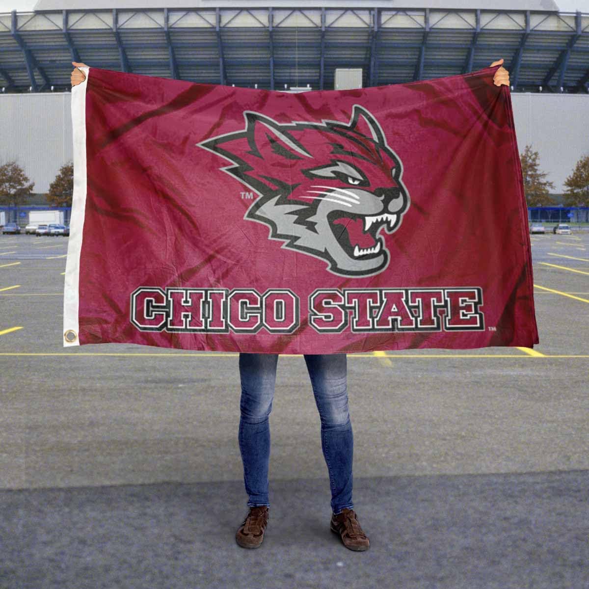Chico State University Logo