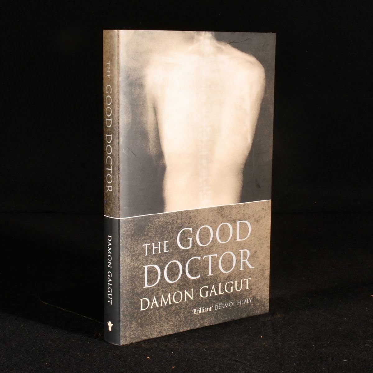 The Good Doctor: Damon Galgut: 9780670047918: Amazon.com: Books