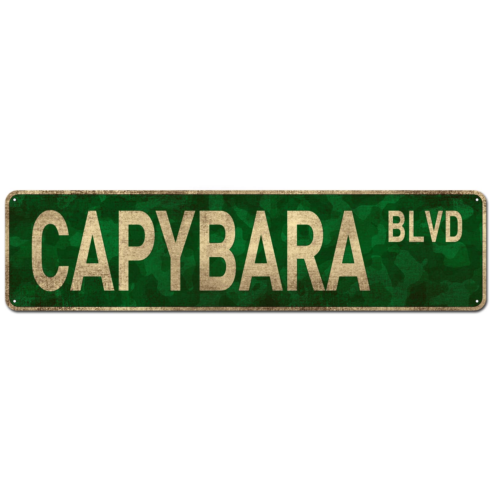 Amazon.com : CIVOTIL Capybara Blvd Street Sign, Sign Décor Lover Gift ...