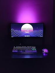 LG 25-Inch (64.5 Cm) UltraWide Multitasking Monitor with Full HD (2560 ...