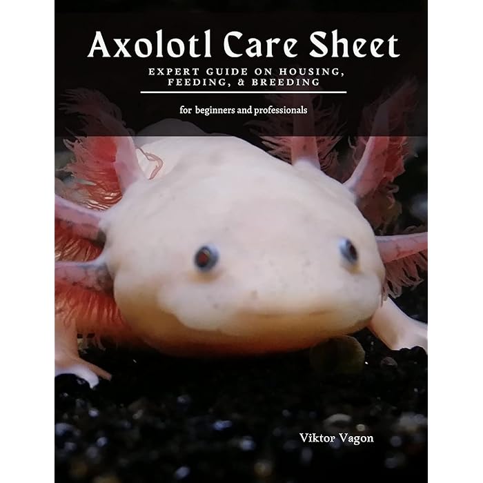 Buy Axolotl Care Sheet: Expert Guide on Housing, Feeding, & Breeding ...