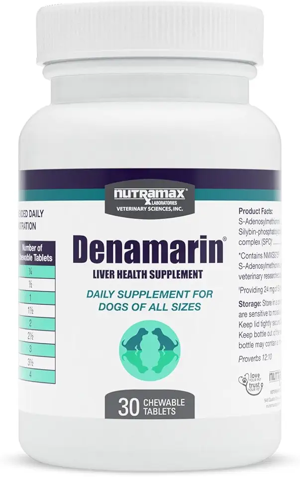 Crushing Denamarin For Dogs: Safety And Efficacy Considerations | PetShun
