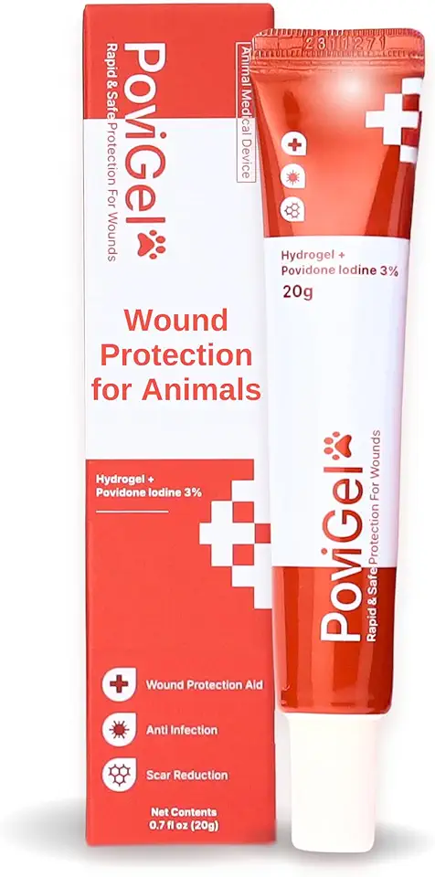 Dogs And Preparation H: A Safe Remedy? | PetShun