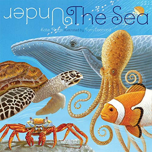 Under the Sea: Riggs, Kate, Tom, Leonard: 9781568463025: Amazon.com: Books