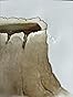 Where, Oh Where, Is Kipper's Bear?: A Pop-Up Book with Light!: Inkpen ...