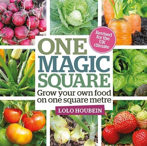 One Magic Square: 9780857842800: Amazon.com: Books