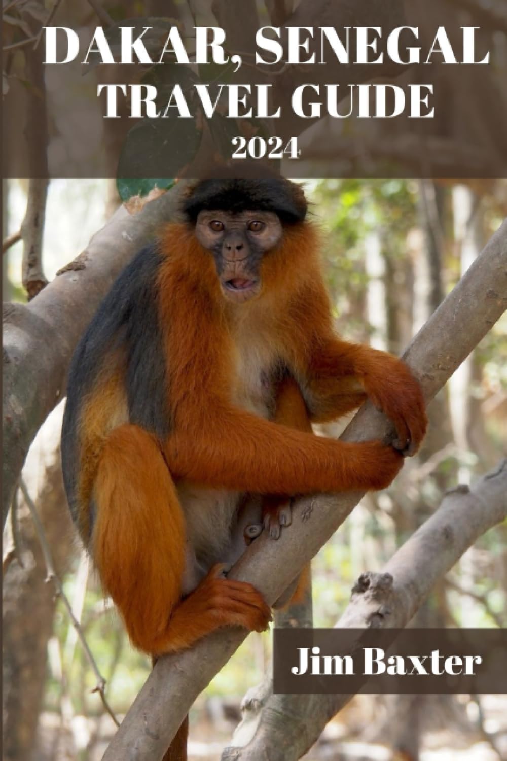 DAKAR, SENEGAL TRAVEL GUIDE 2024 Edition: Discover the Vibrant Capital ...