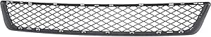 Amazon.com: Bumper Grille For 2011-2013 BMW X5 Lower Textured Black ...