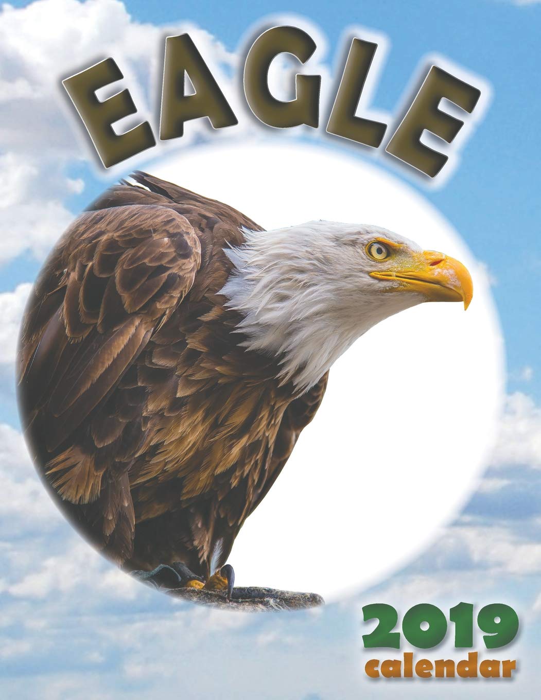 Eagle 2019 Calendar: Wall Craft Calendars: 9781642520927: Amazon.com: Books