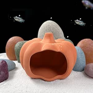 Amazon.com: PENCK Betta Fish Tank Accessories Aquarium Decor Cute ...