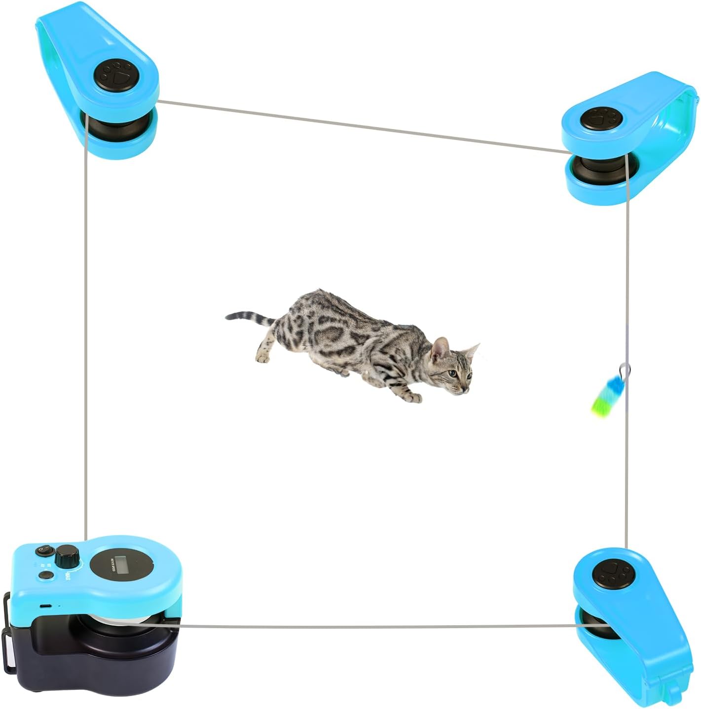 Automatic cat Chasing Toys, Interactive cat Toys for Indoor Cats ...