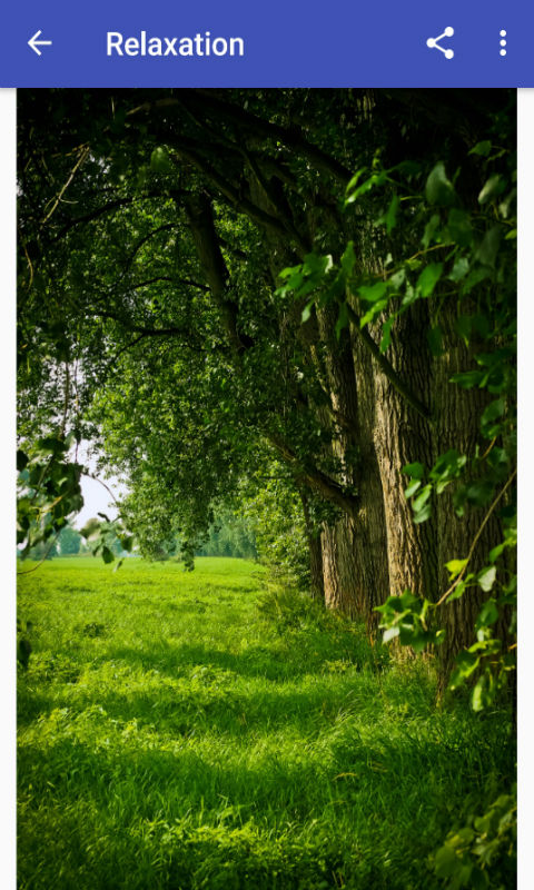 Relaxation Wallpapers and Backgrounds - App on Amazon Appstore