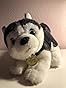 Amazon.com: Aurora® Adorable Miyoni® Tots Siberian Husky Pup Stuffed ...