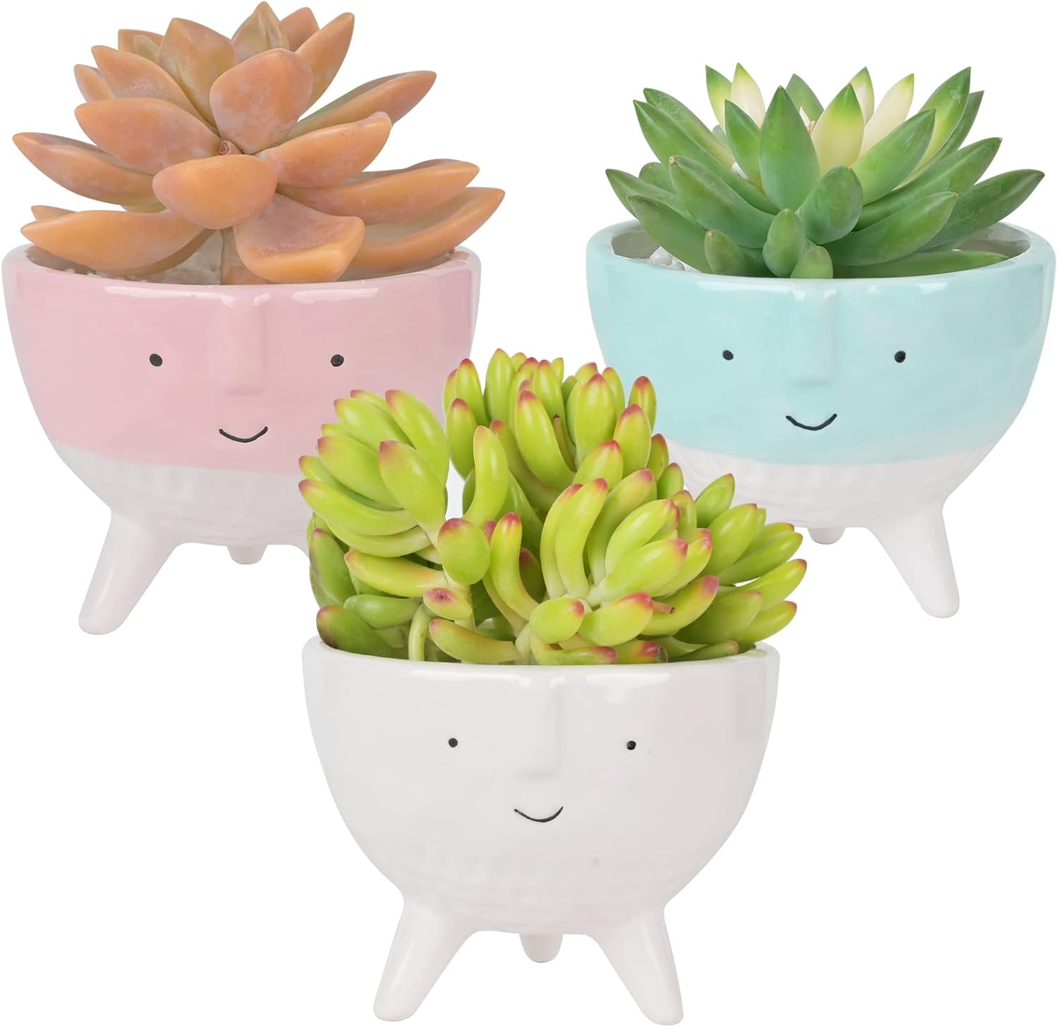 Amazon.com: Cute Succulent Plant Pots, Plant Pots With Expressions, 3 ...