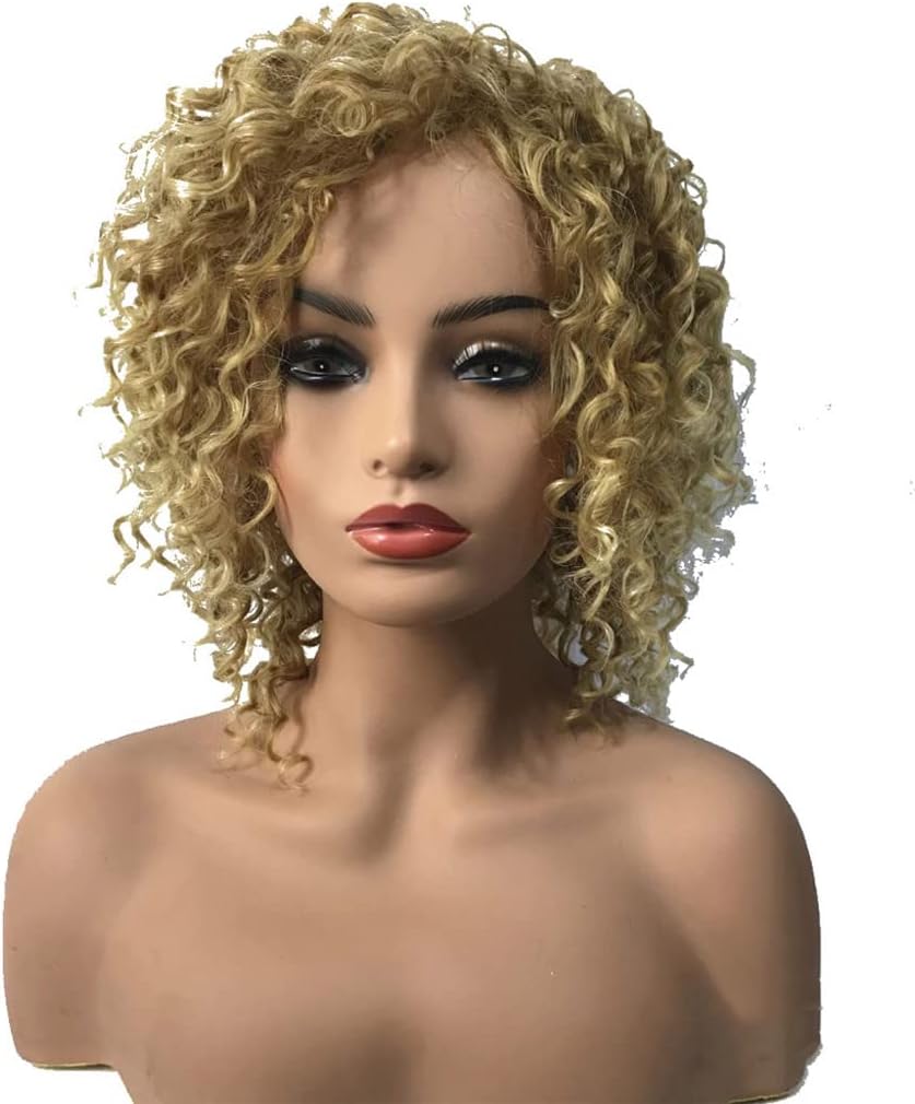 Amazon.com: Smooth Afro Kinky Curly Wigs for Black Women Short Kinky ...