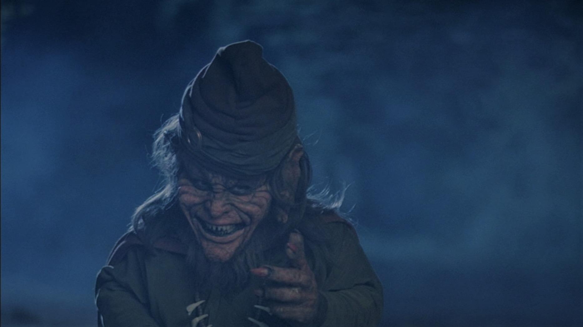 Leprechaun 2 [VHS] : Davis, Warwick, Heath, Charlie, Durkin, Shevonne ...