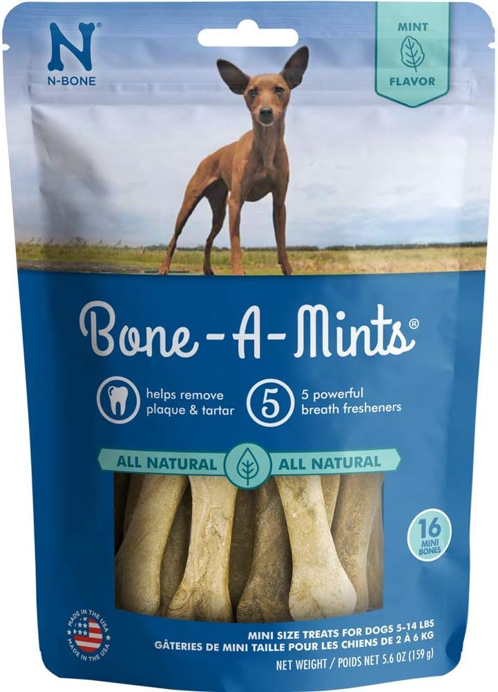 Amazon.com : N-Bone Bone-A-Mints Mint Flavor Daily Dental X-Small Bone for Dogs, 5.6 oz. : Pet ...