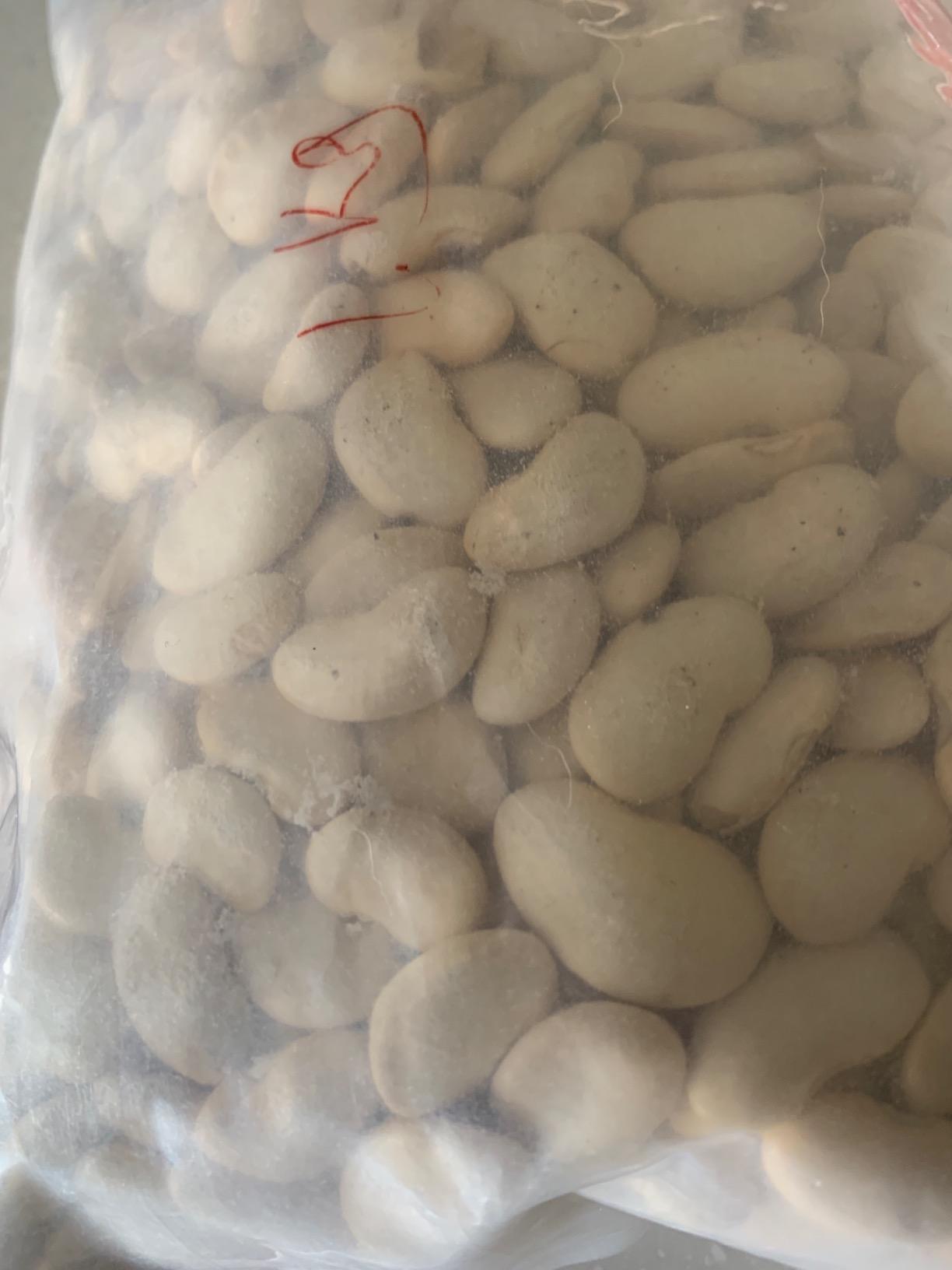 Pmw - Grade A Quality - Dried - Lima Beans - Double Beans - White Beans ...