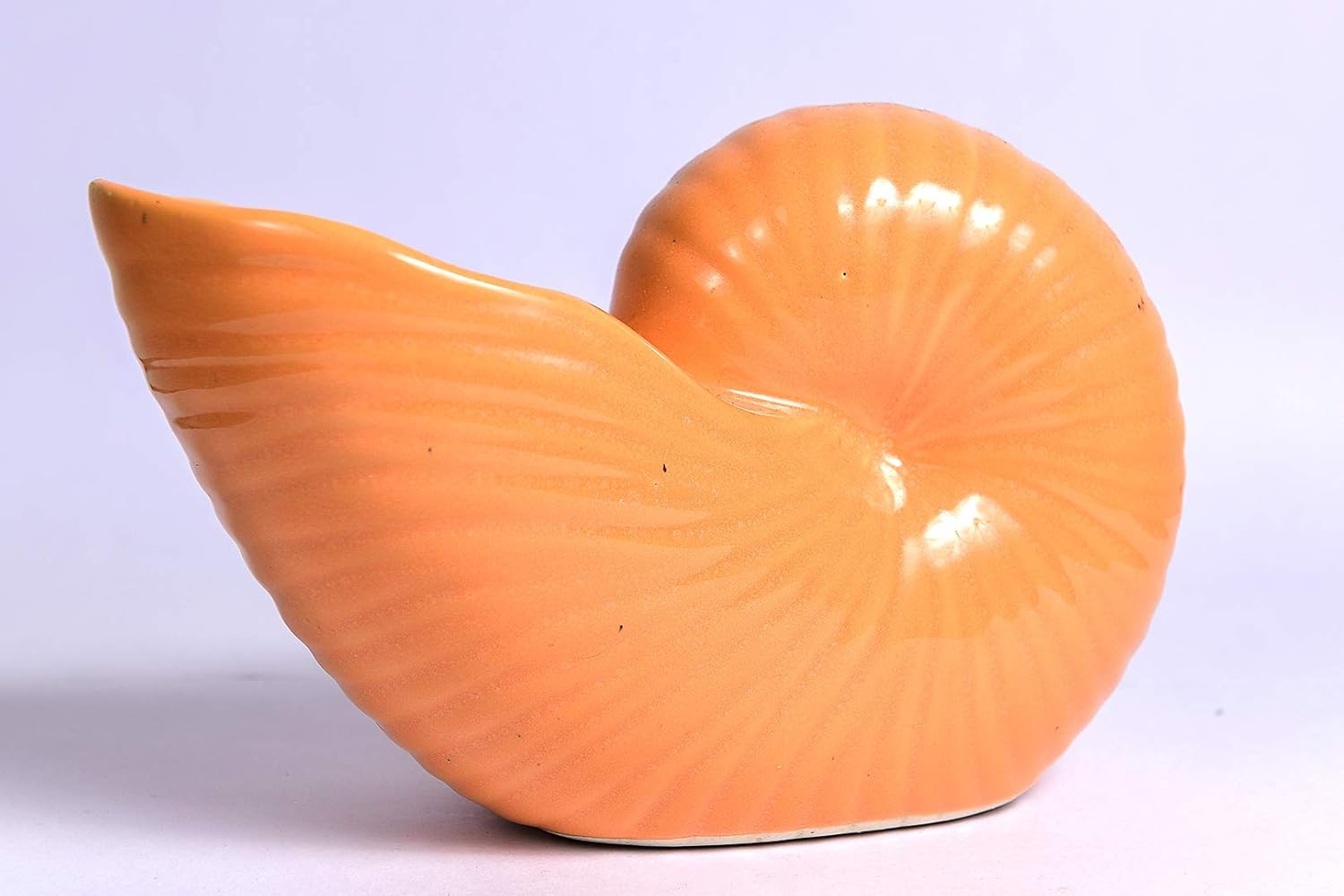 Tissya’s Ceramic Orange Snail Shell Shaped Pot Planter for Live Plants ...