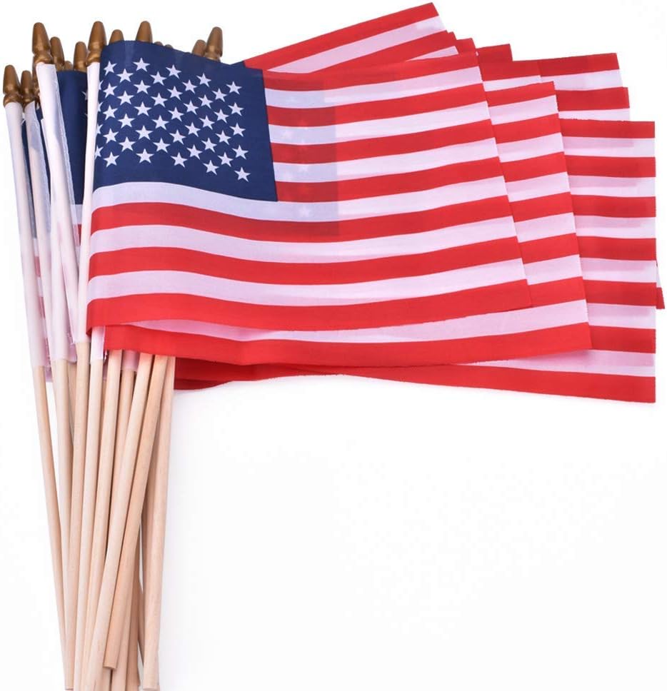 Amazon.com : Small American Flags on stick, Small American flags, Mini ...