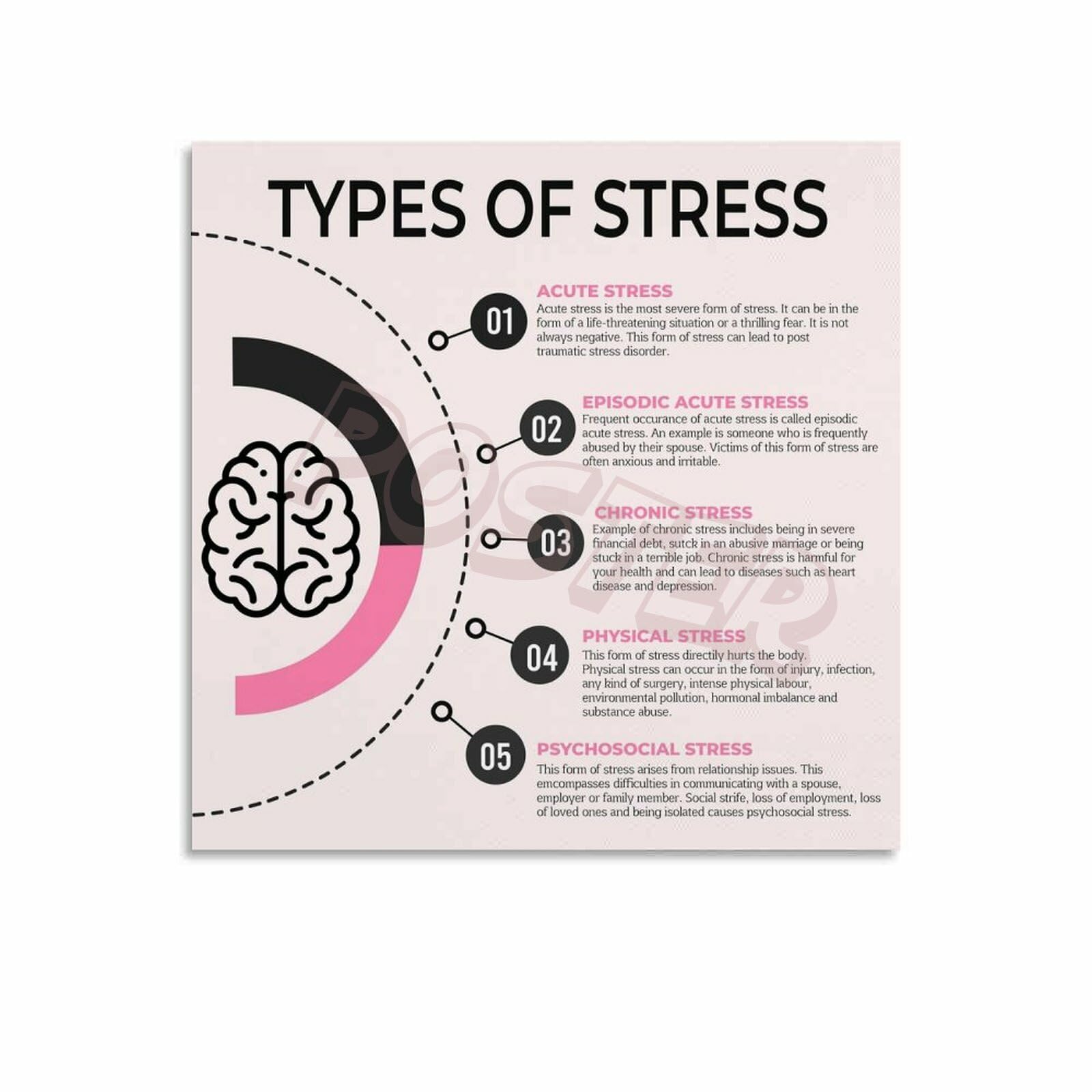 Four Types Of Stress You Have To Know About And How To The 4 Types Of