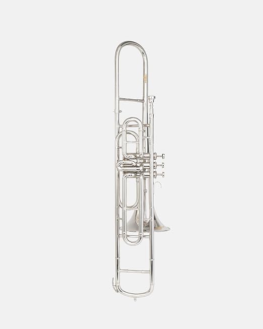 Amazon.com: QUEENBRASS 3-Valve Trombone in Bb Pitch – Chrome Finish ...