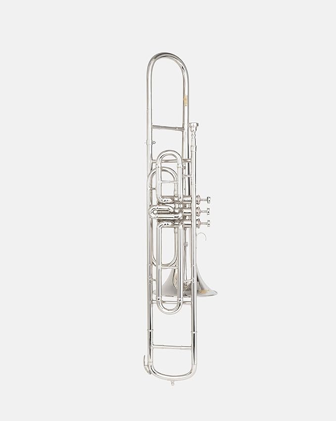 Amazon.com: QUEENBRASS 3-Valve Trombone in Bb Pitch – Chrome Finish ...