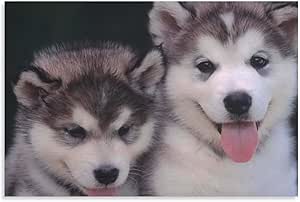 DULZAN Poster And Painting 23.6"x35.4" no frame Animals Dog Siberian ...