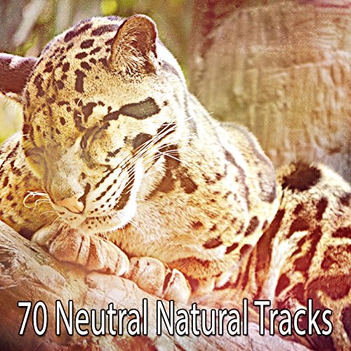 Amazon.com: 70 Neutral Natural Tracks : Sounds of Nature Relaxation ...