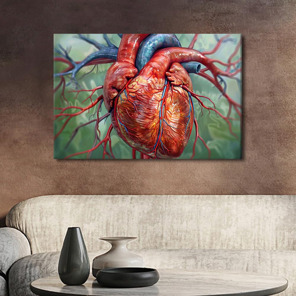 Human Heart Art